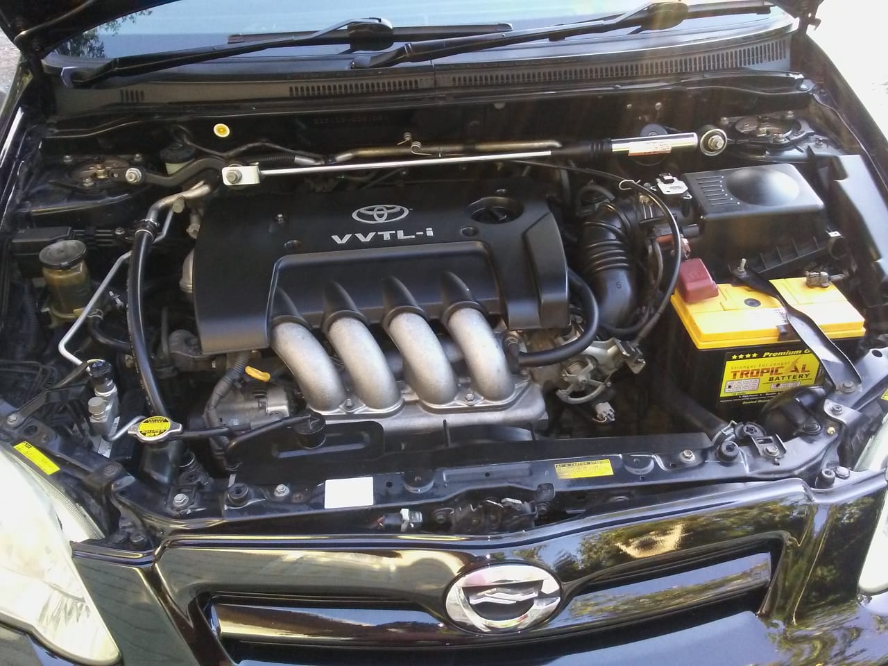 2006 Toyota Runx Z Edition | Khaleel's Motorsports